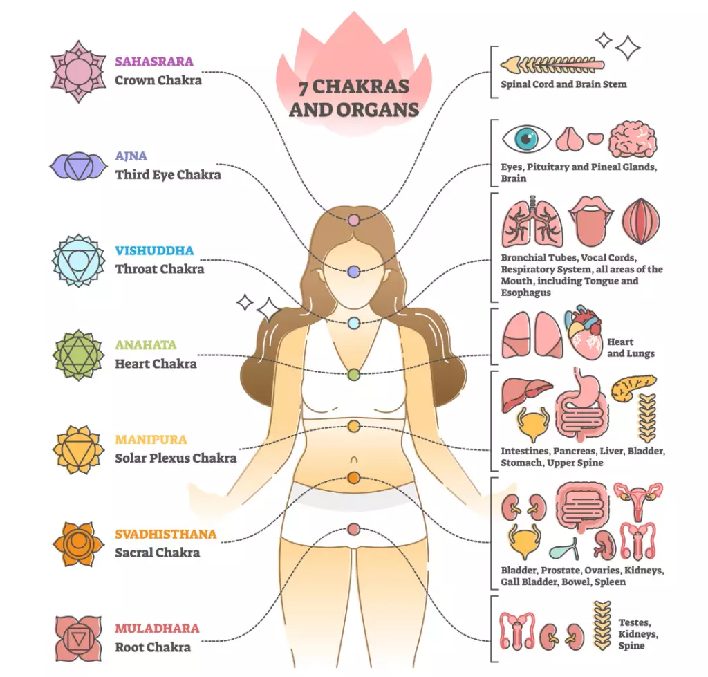 Léaráid de 7 chakras agus orgáin ghaolmhara