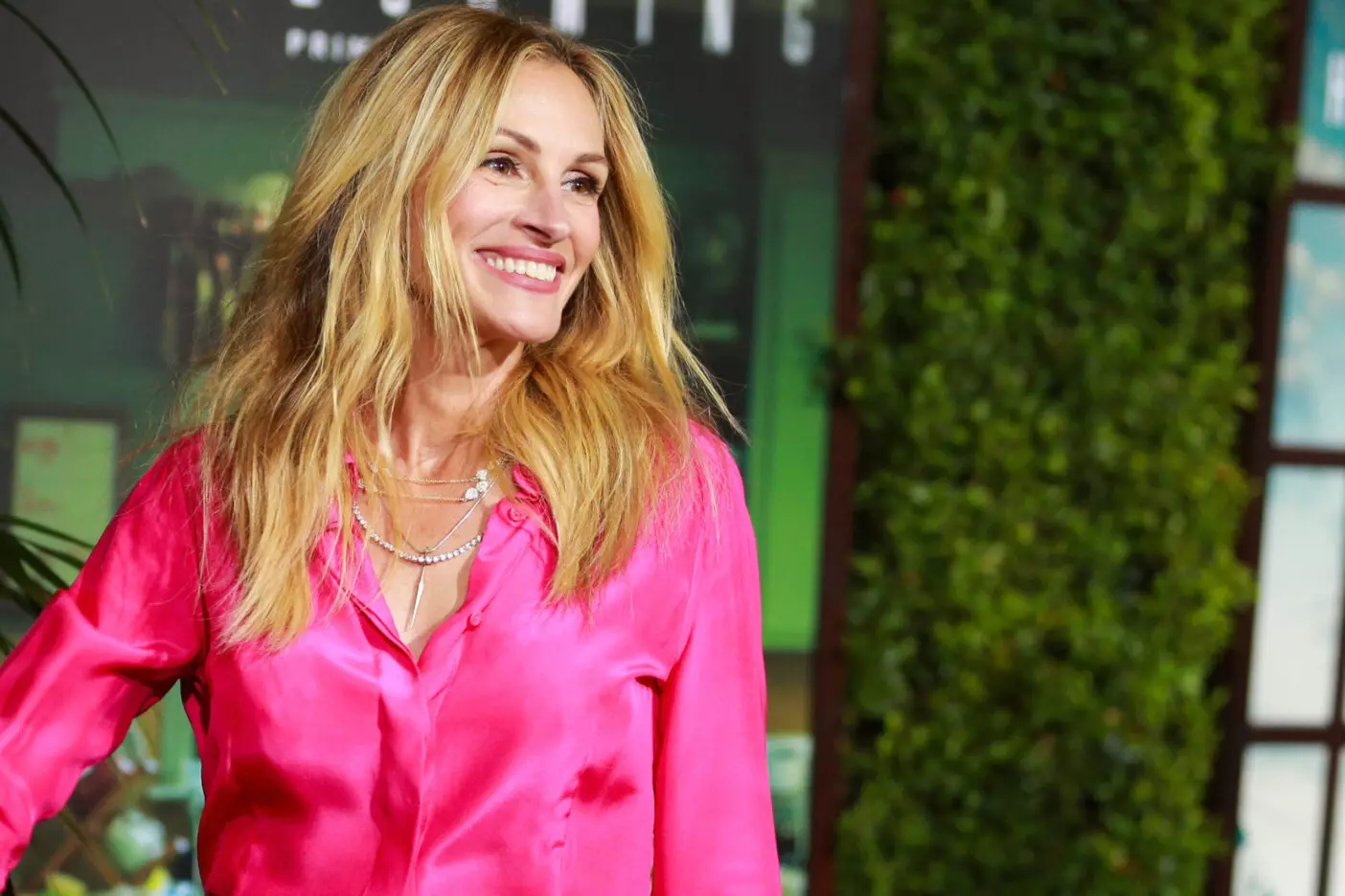 Ĉu Julia Roberts ricevis plastan kirurgion? Rigardu Ene de La Onidiroj