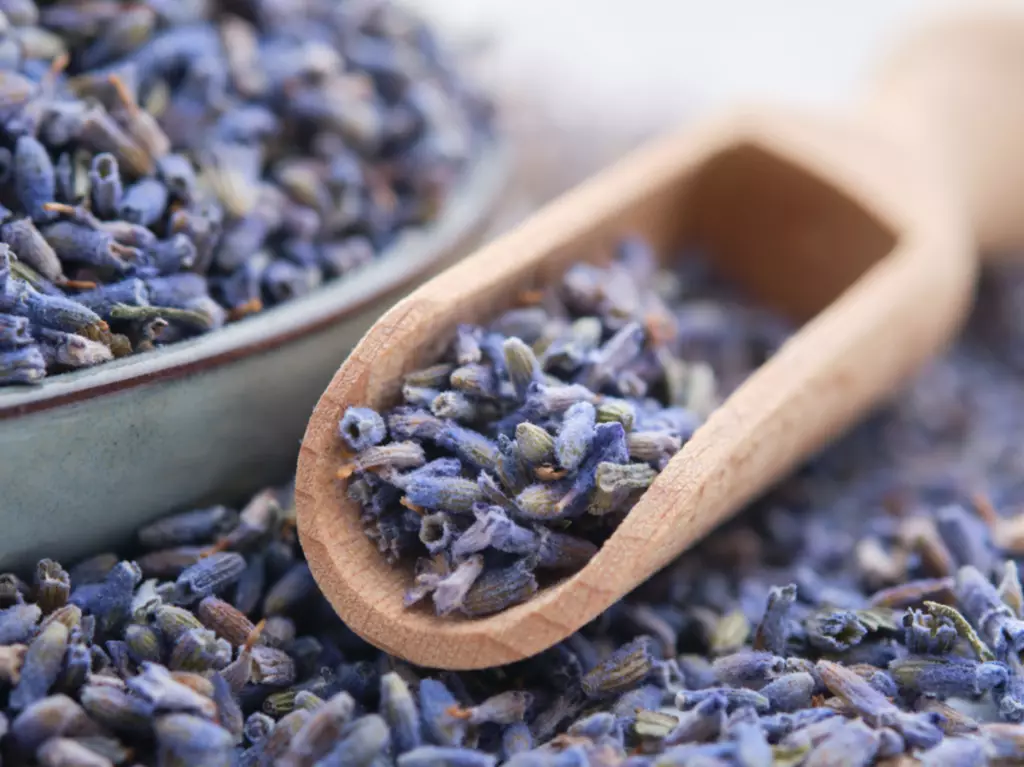 Lavender kering untuk kolagen dan rangsangan mood