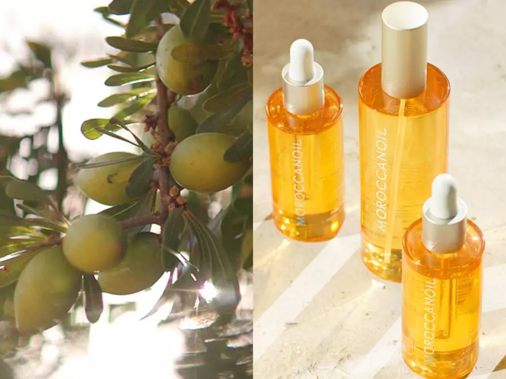 Argan yong'oqlari va argan yog'i