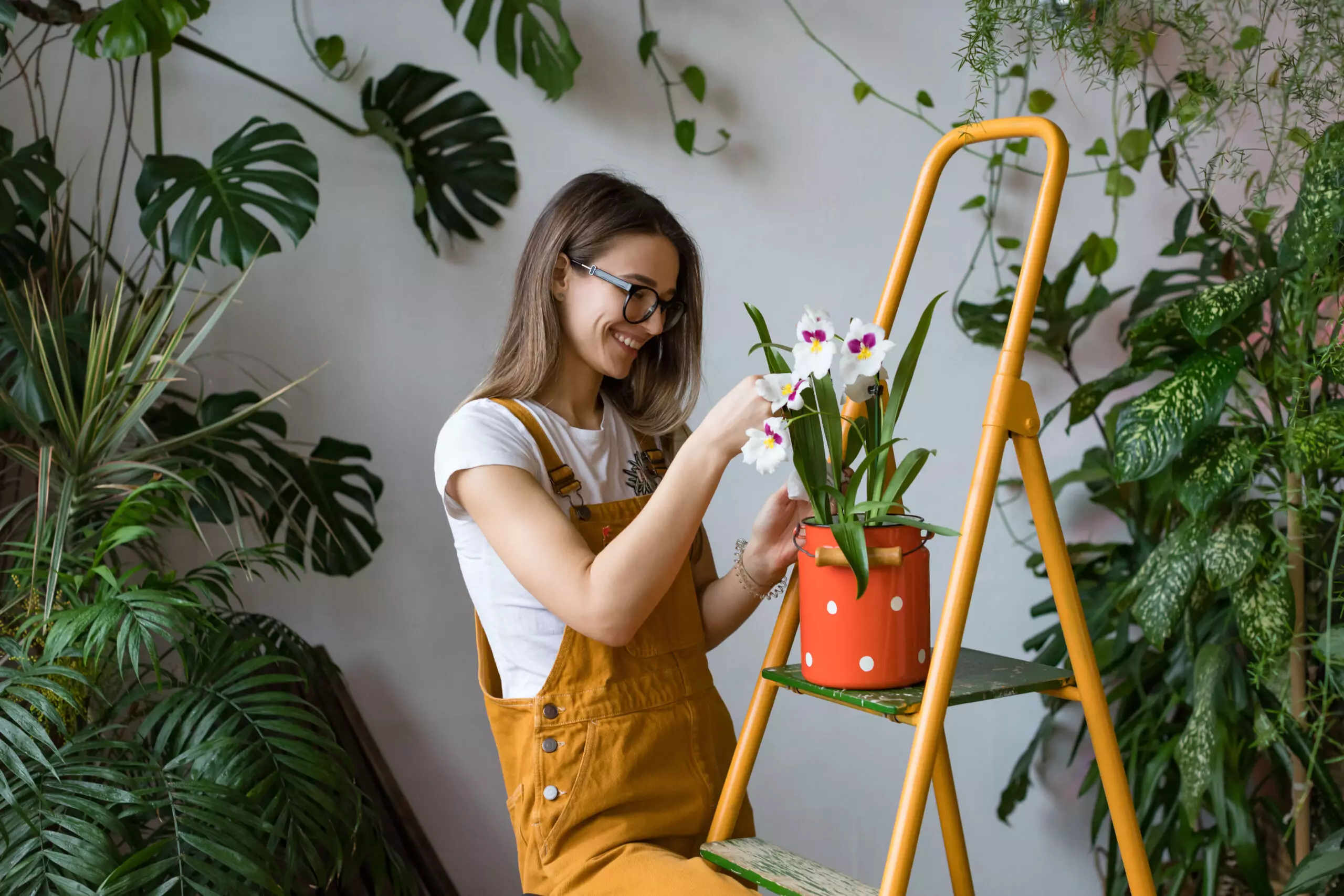 Cele mai bune 5 plante de interior dovedite că îți îmbunătățesc starea de spirit