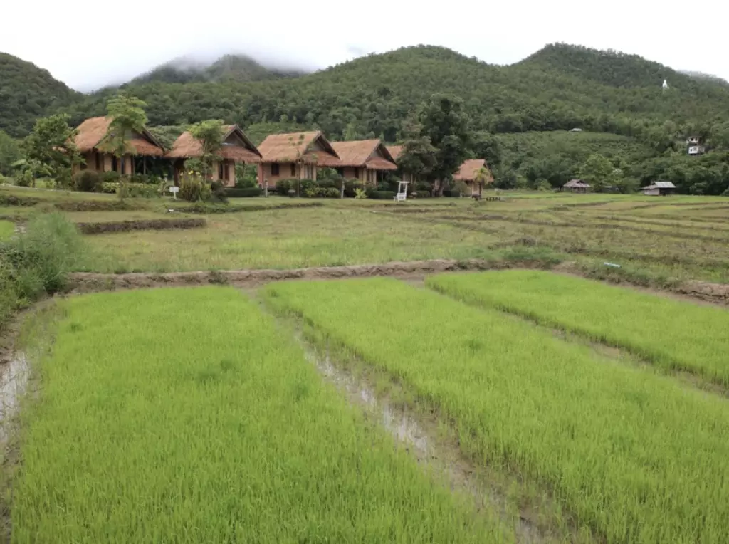 タイの水田の近くの居心地の良いキャビンのセット